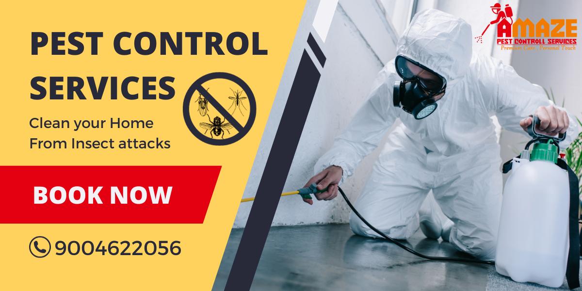 Pest Control in Andheri, Say Goodbye to Unwanted Guests